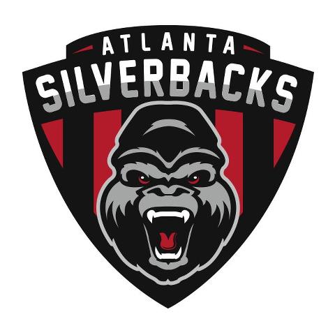 Perspectives in Black